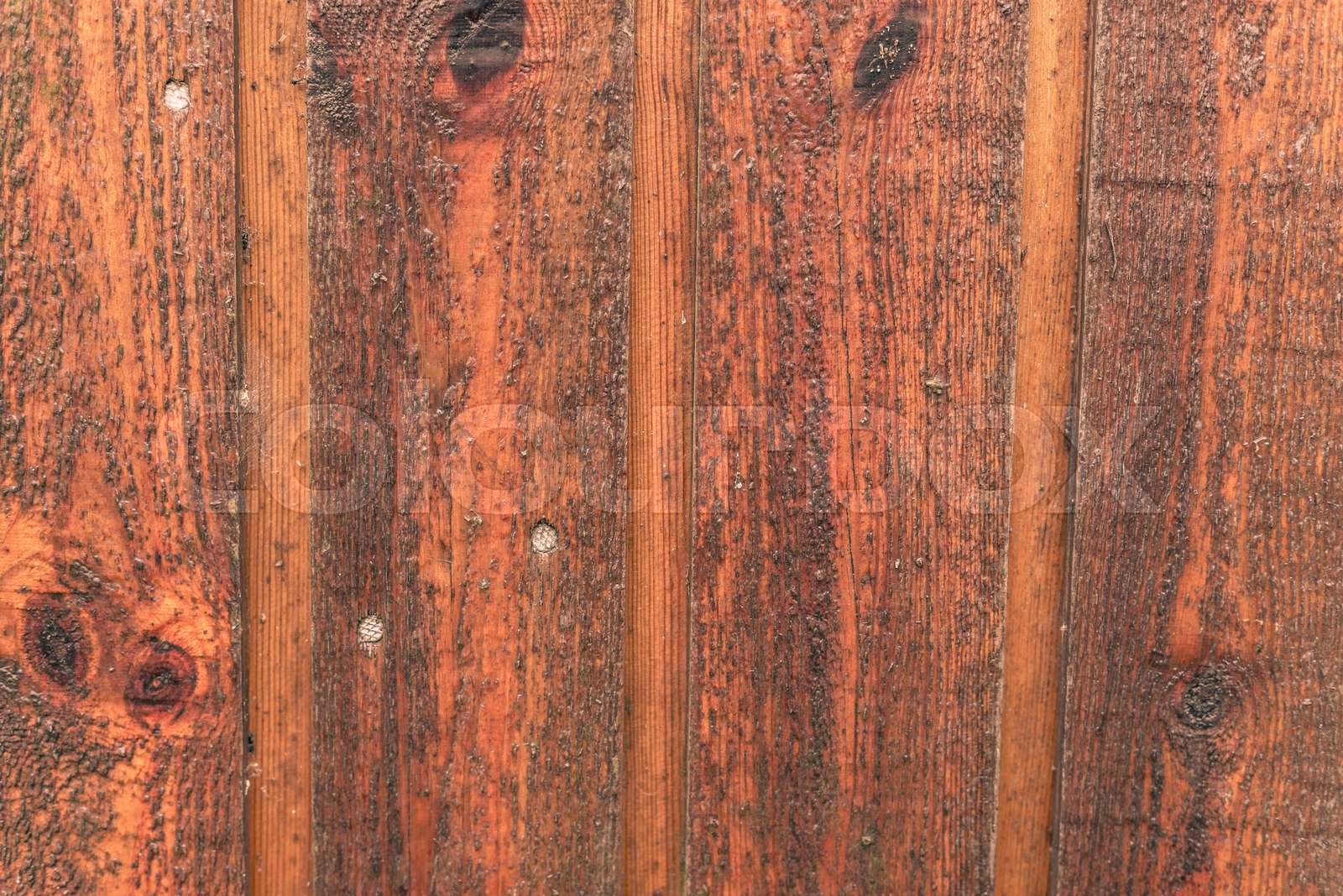 holz-, holz, baum | Stock Bild | Colourbox