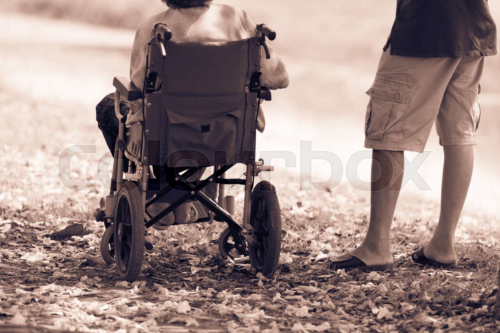 wheelchair cripple | Stock image | Colourbox