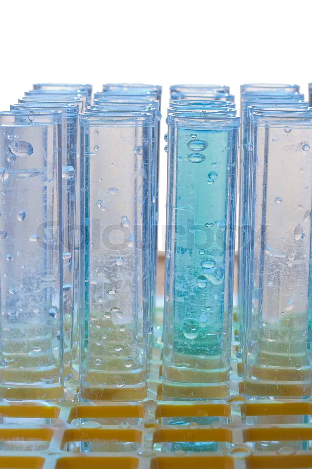 Test tubes in a test tube rack. | Stock image | Colourbox