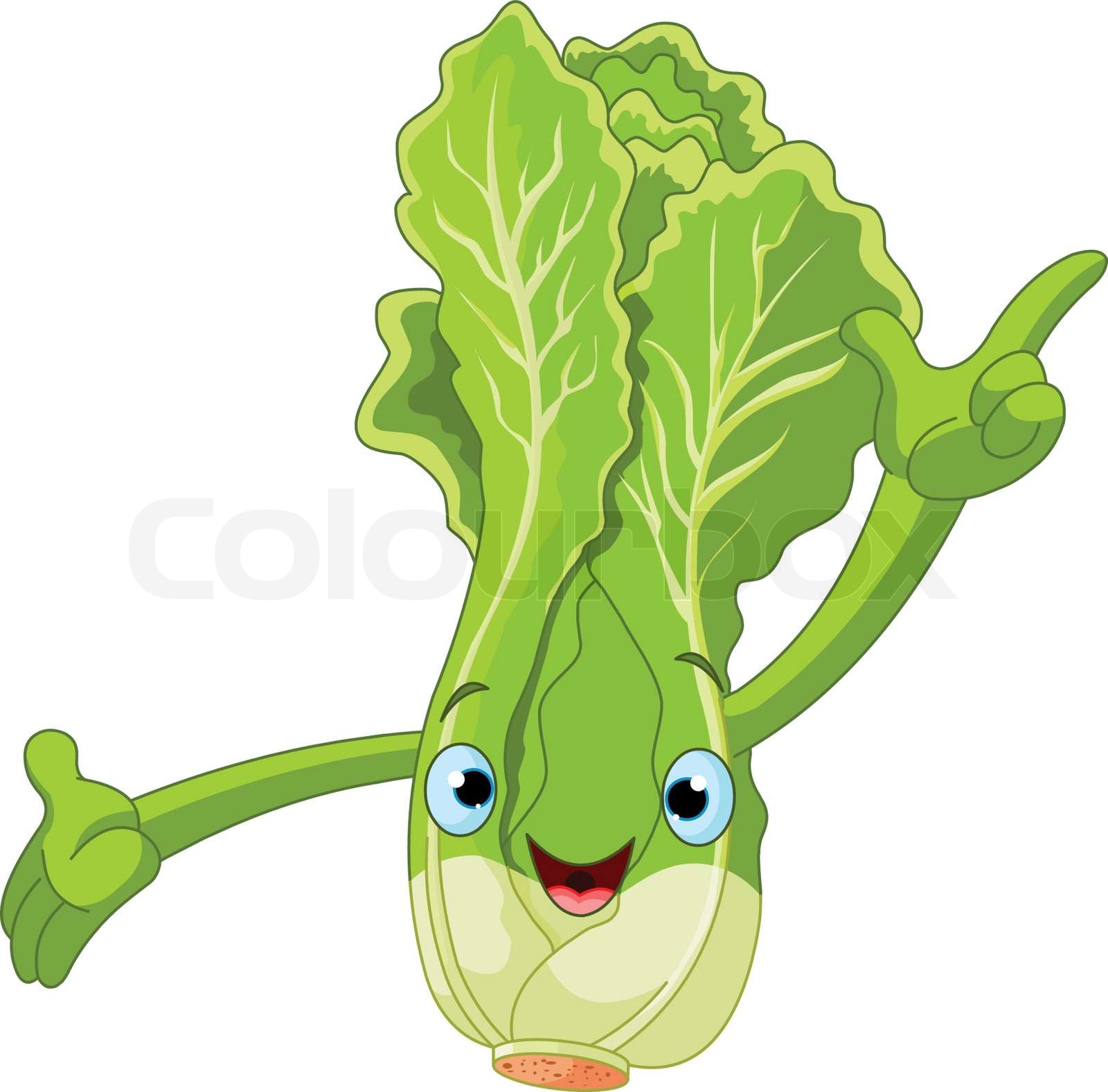 Lettuce Character Presenting Something | Stock vector | Colourbox