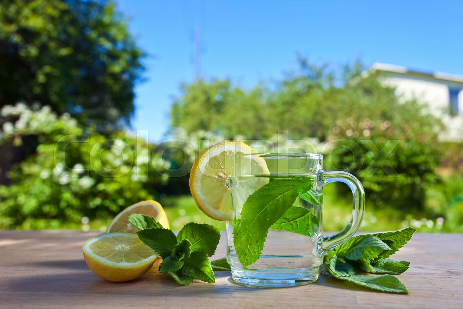peppermint tea with lemon | Stock image | Colourbox