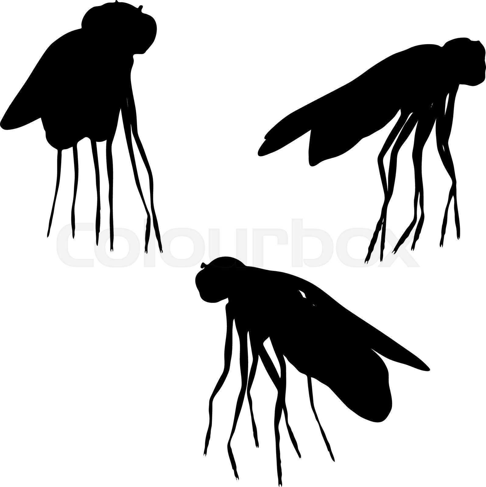bug fly silhouette | Stock vector | Colourbox
