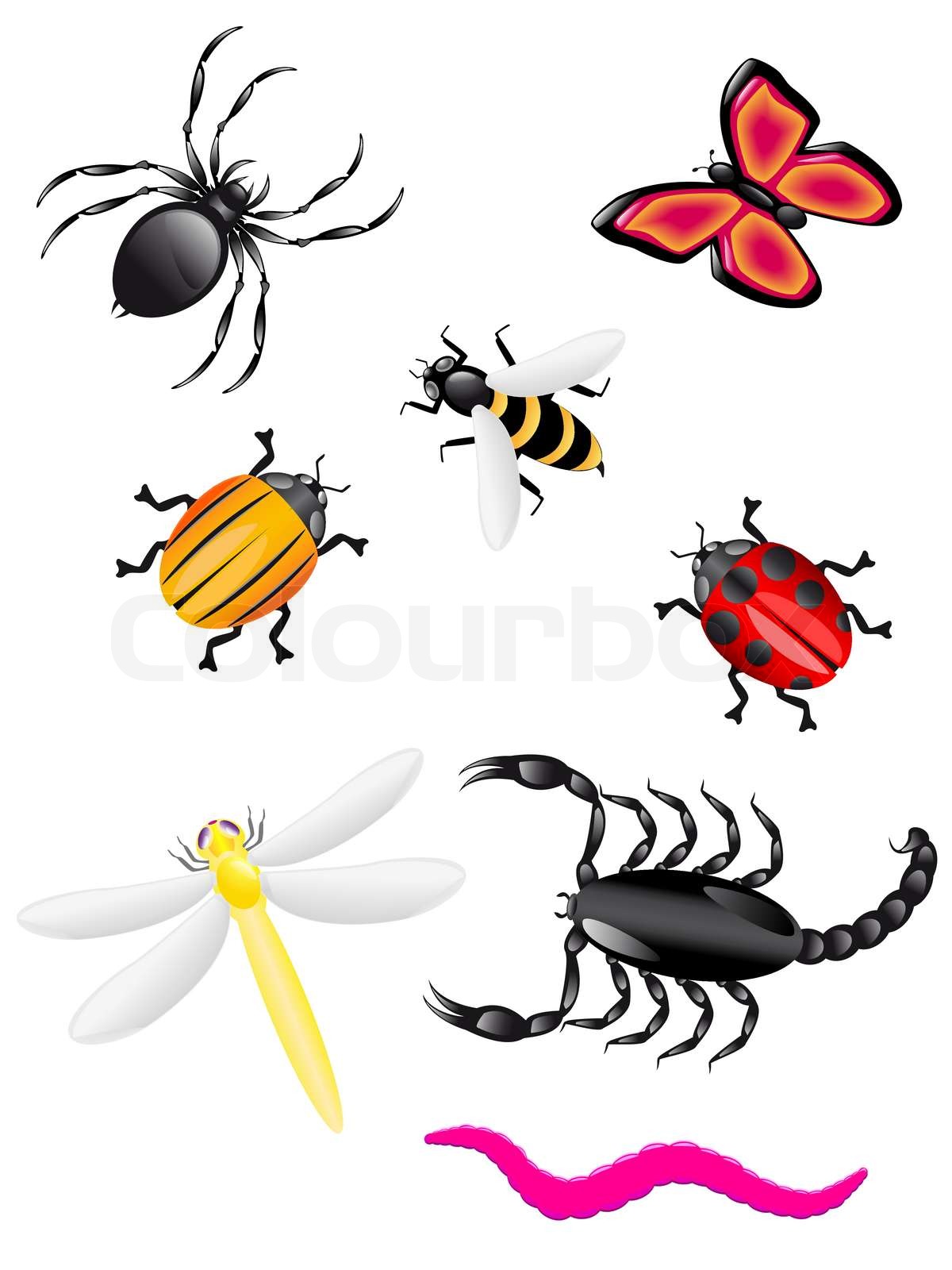 biller og insekter farver vektor illustration | Stock vektor | Colourbox