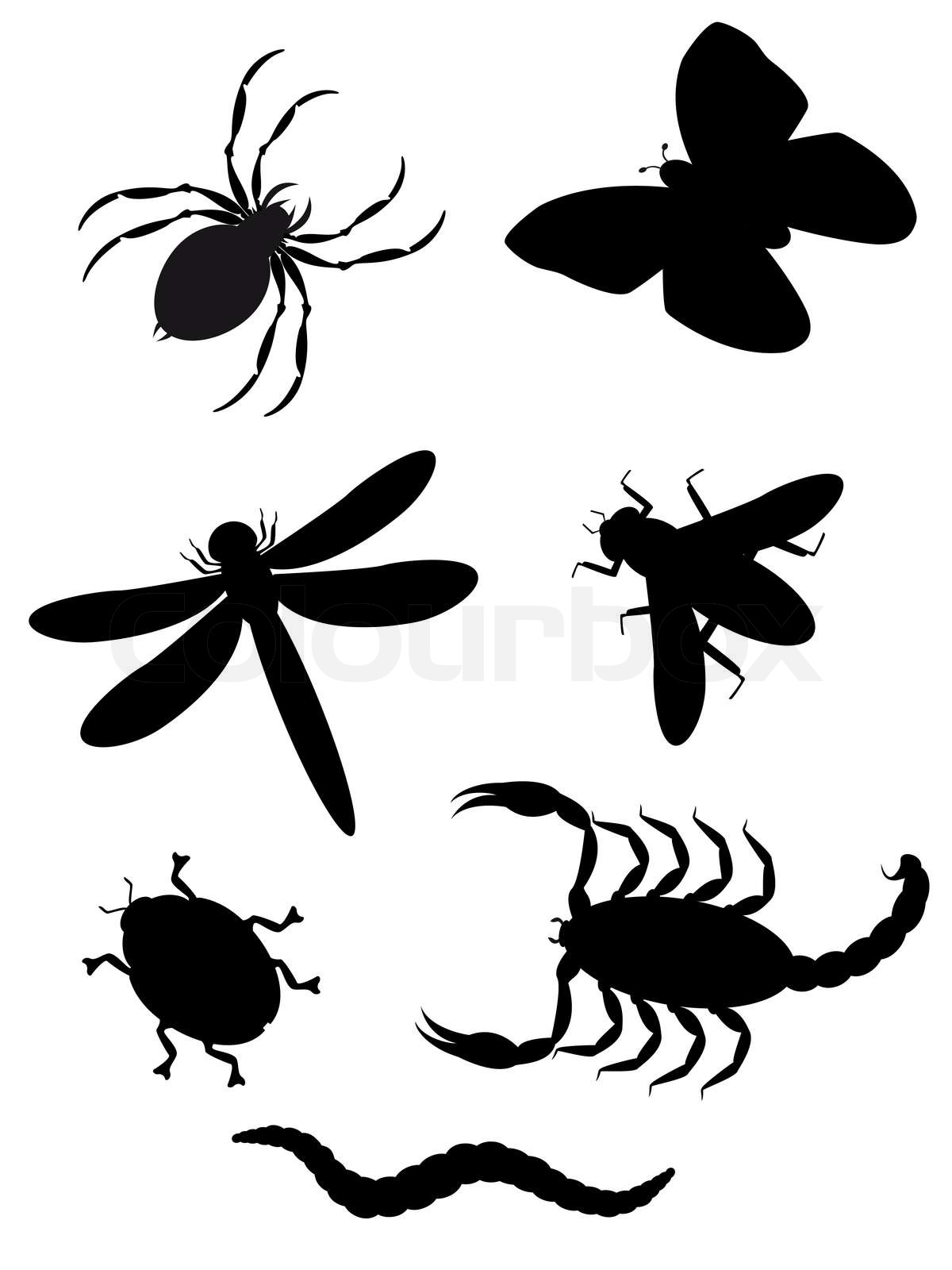 biller og insekter silhuet vektor illustration | Stock vektor | Colourbox