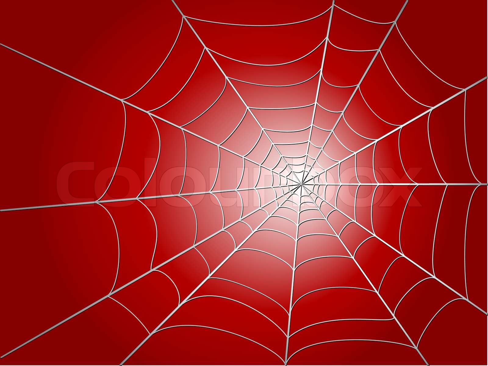 spider wed on red background vector illustration | Stock vector | Colourbox