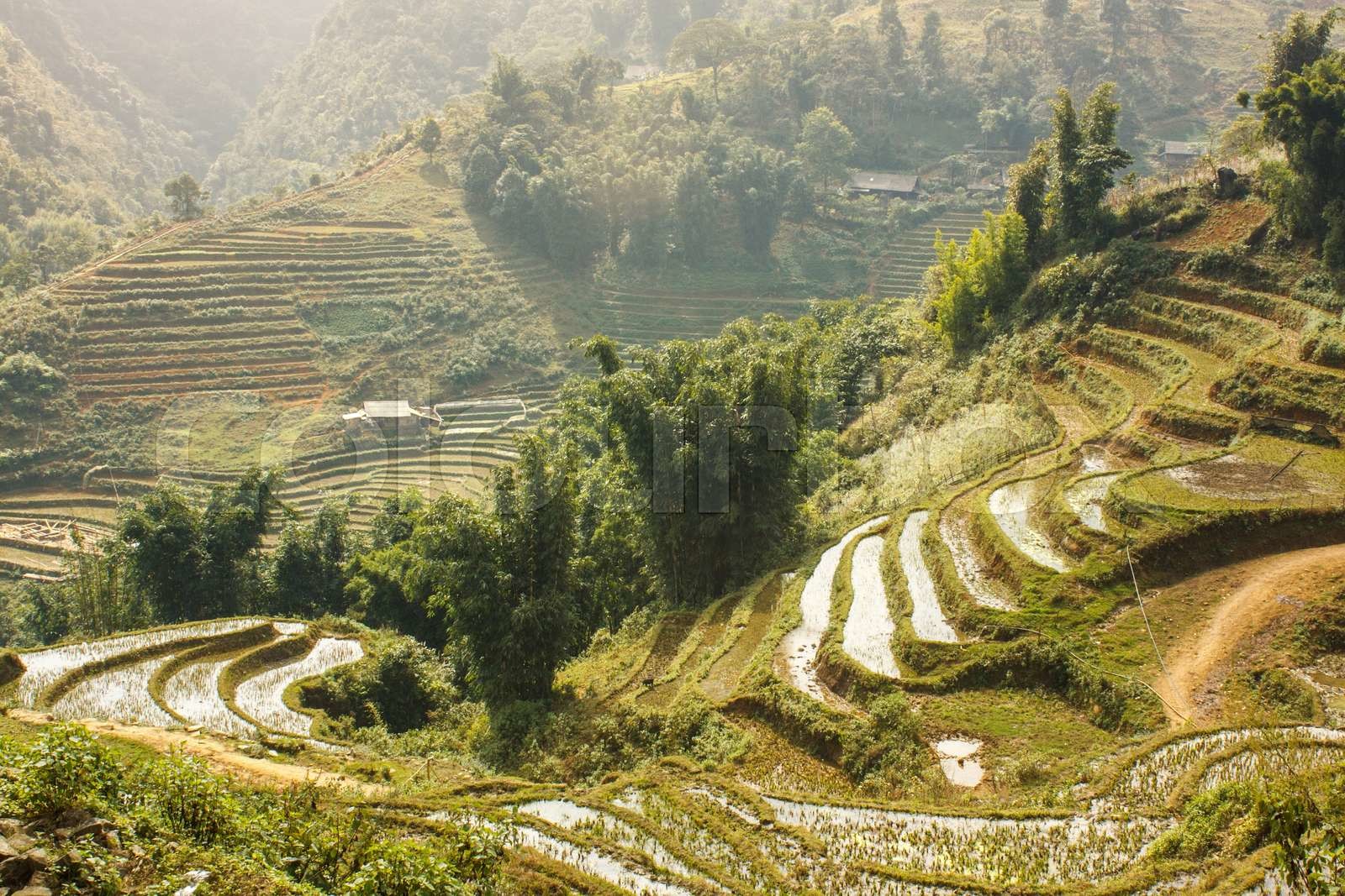 Slope of rice terraces at the mountains in Tavan Village Sapa. | Stock ...