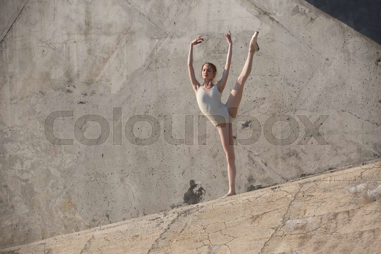 Slim dancer sits in a ballet pose | Stock image | Colourbox