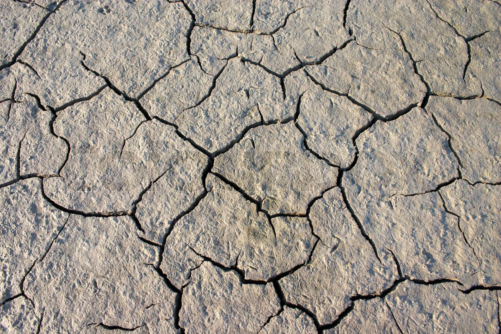 Fissures on a dried up mud | Stock image | Colourbox