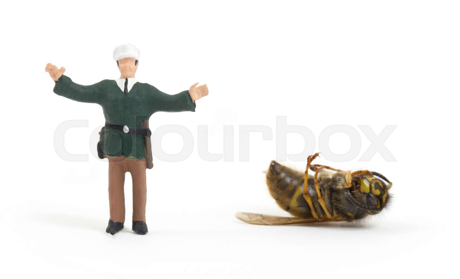 Miniature police officer guarding a crime scene - dead wasp | Stock ...