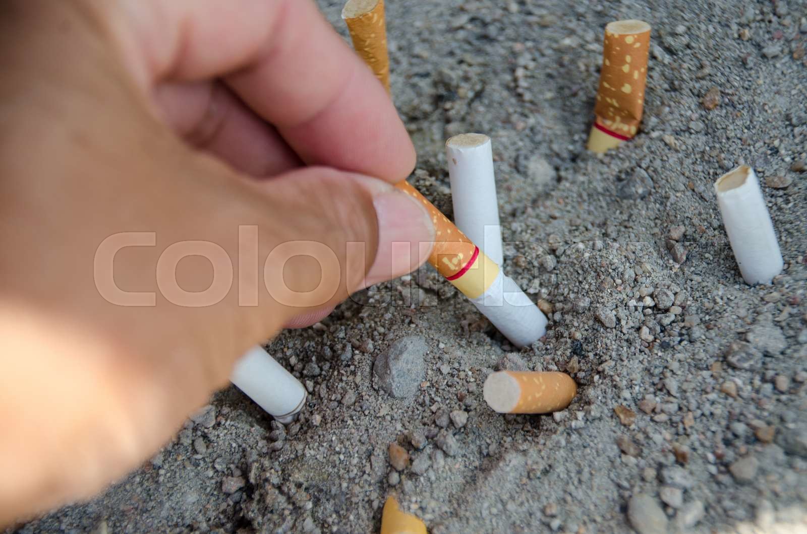 cigarette stub | Stock image | Colourbox