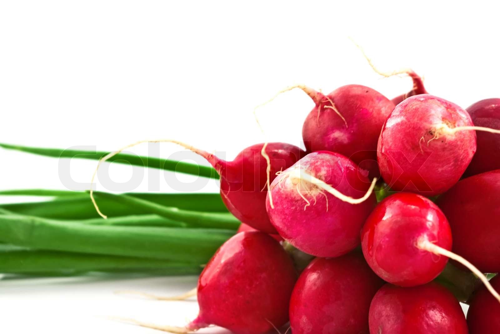 Radise og grønne løg på den hvide | Stock foto | Colourbox