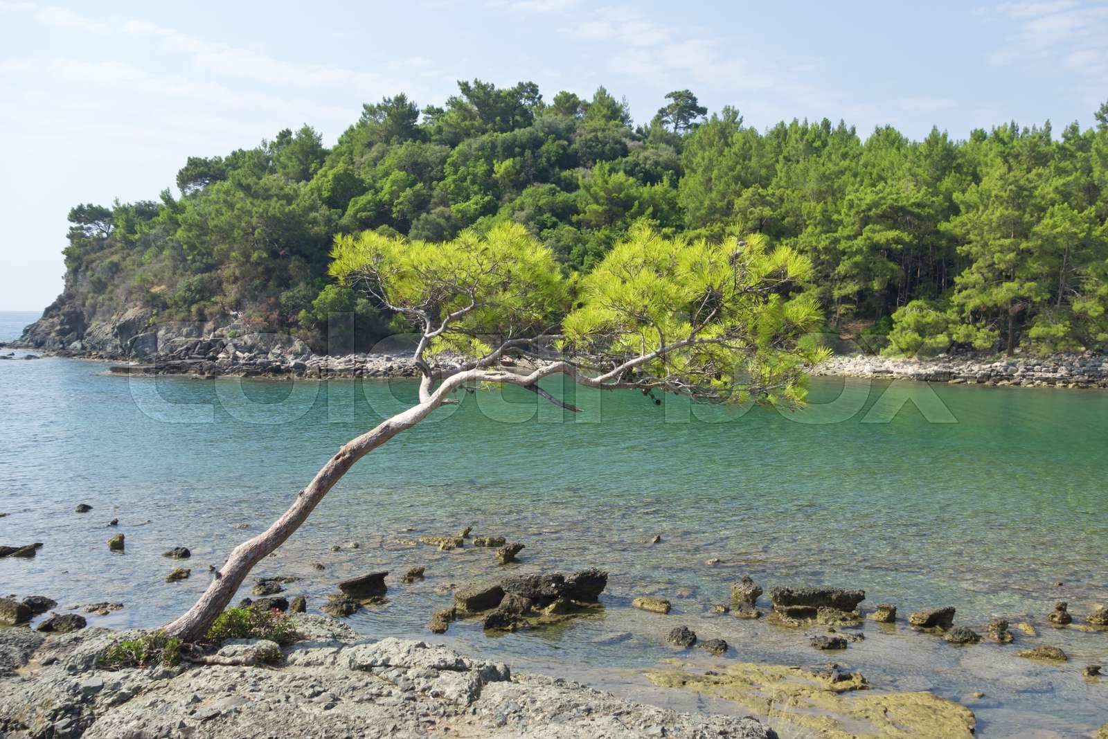 Phaselis, Turkey | Stock image | Colourbox