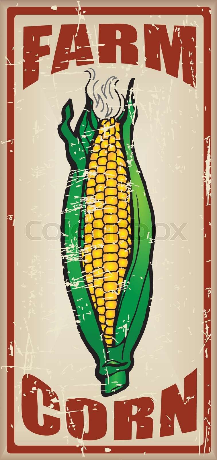 Cards for corn farm | Stock vector | Colourbox