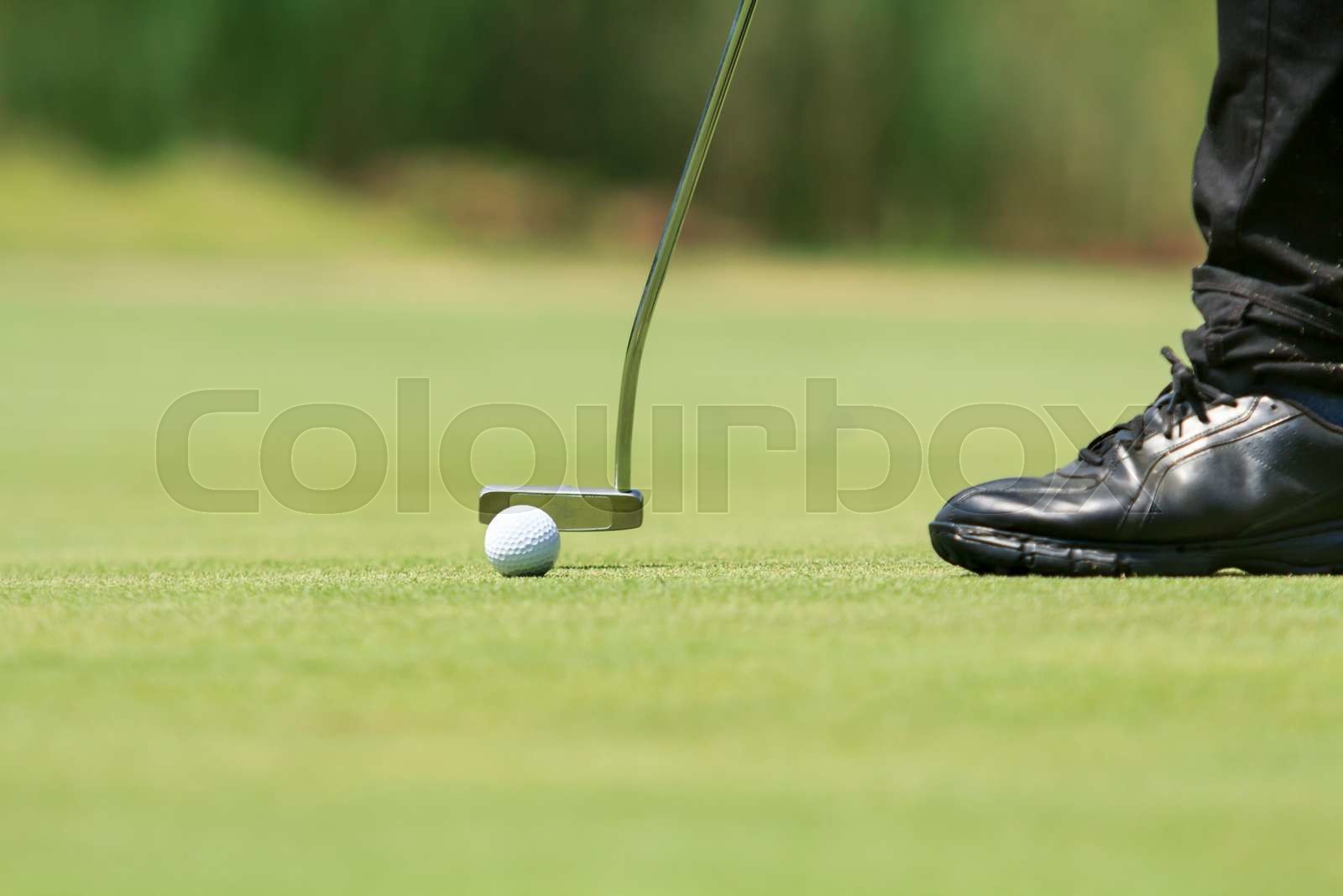 Golf player putting on the green | Stock image | Colourbox