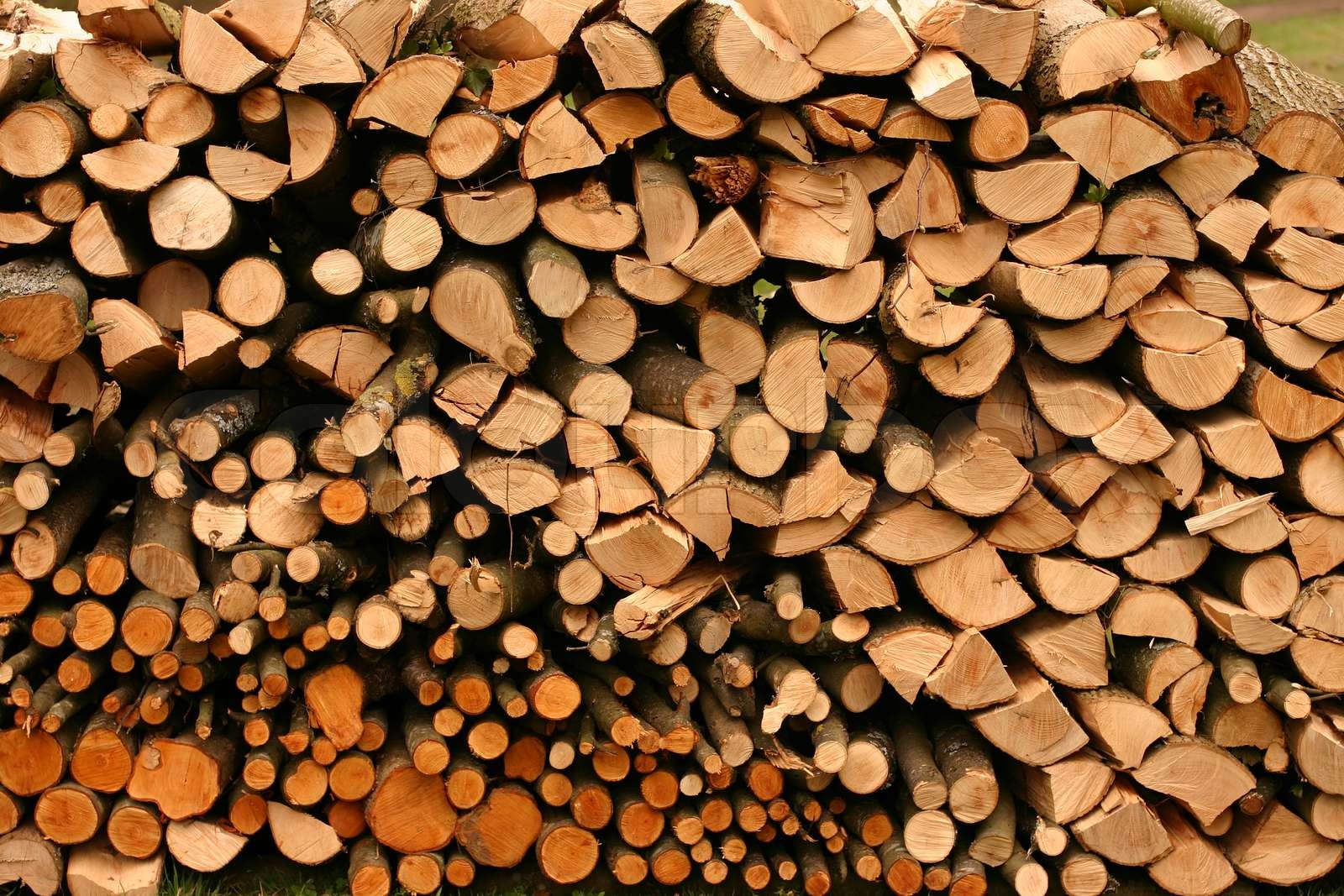 Holz in einer dänischen Wald Stapel | Stock Bild | Colourbox