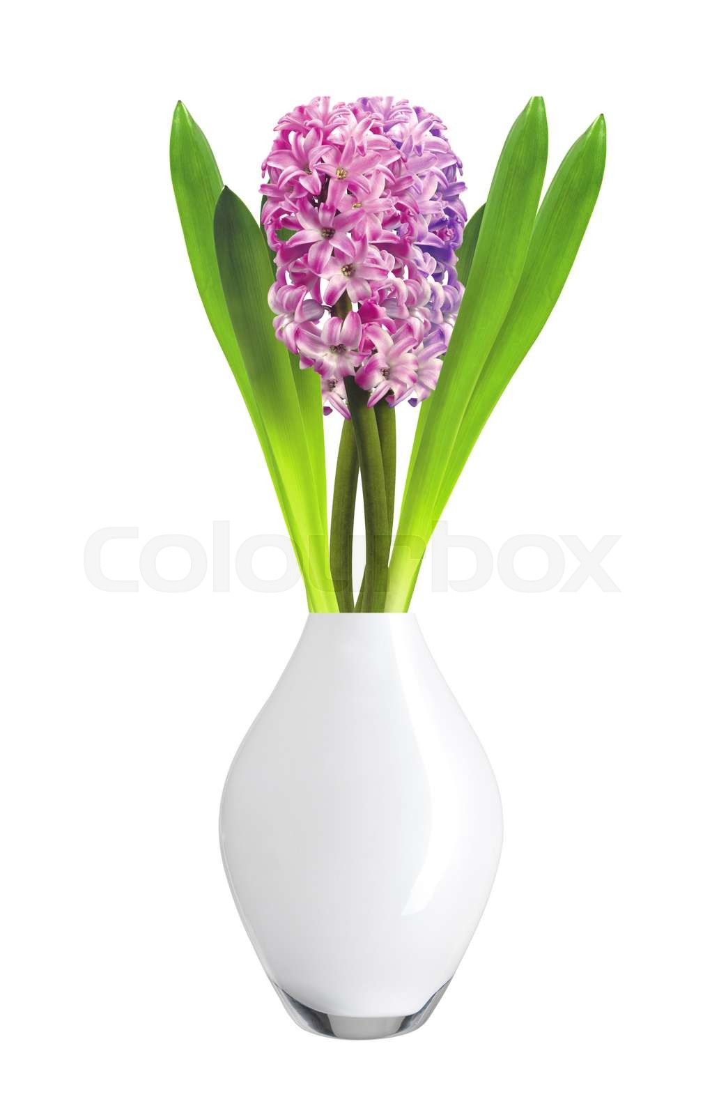 baggrund, grøn, forår | Stock foto | Colourbox