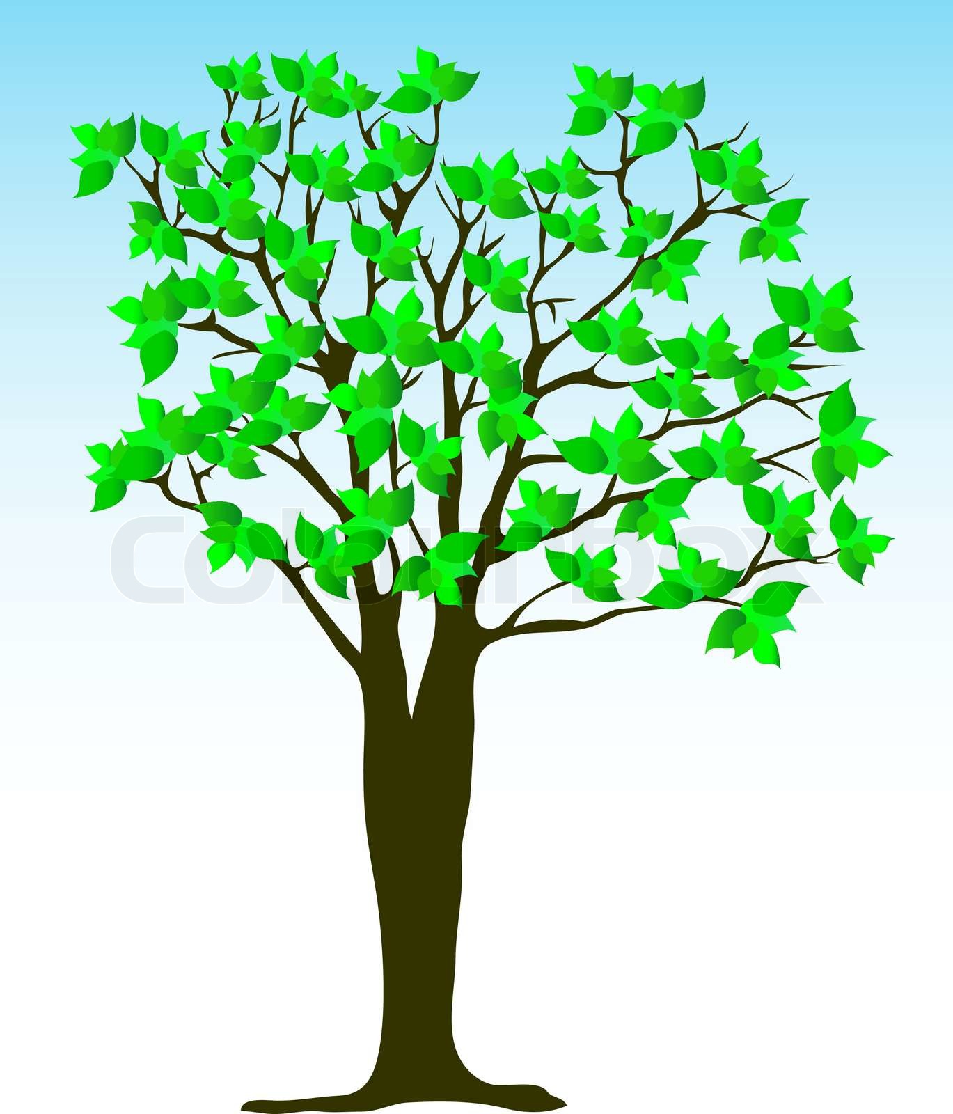 Vector summer tree illustration | Stock vector | Colourbox