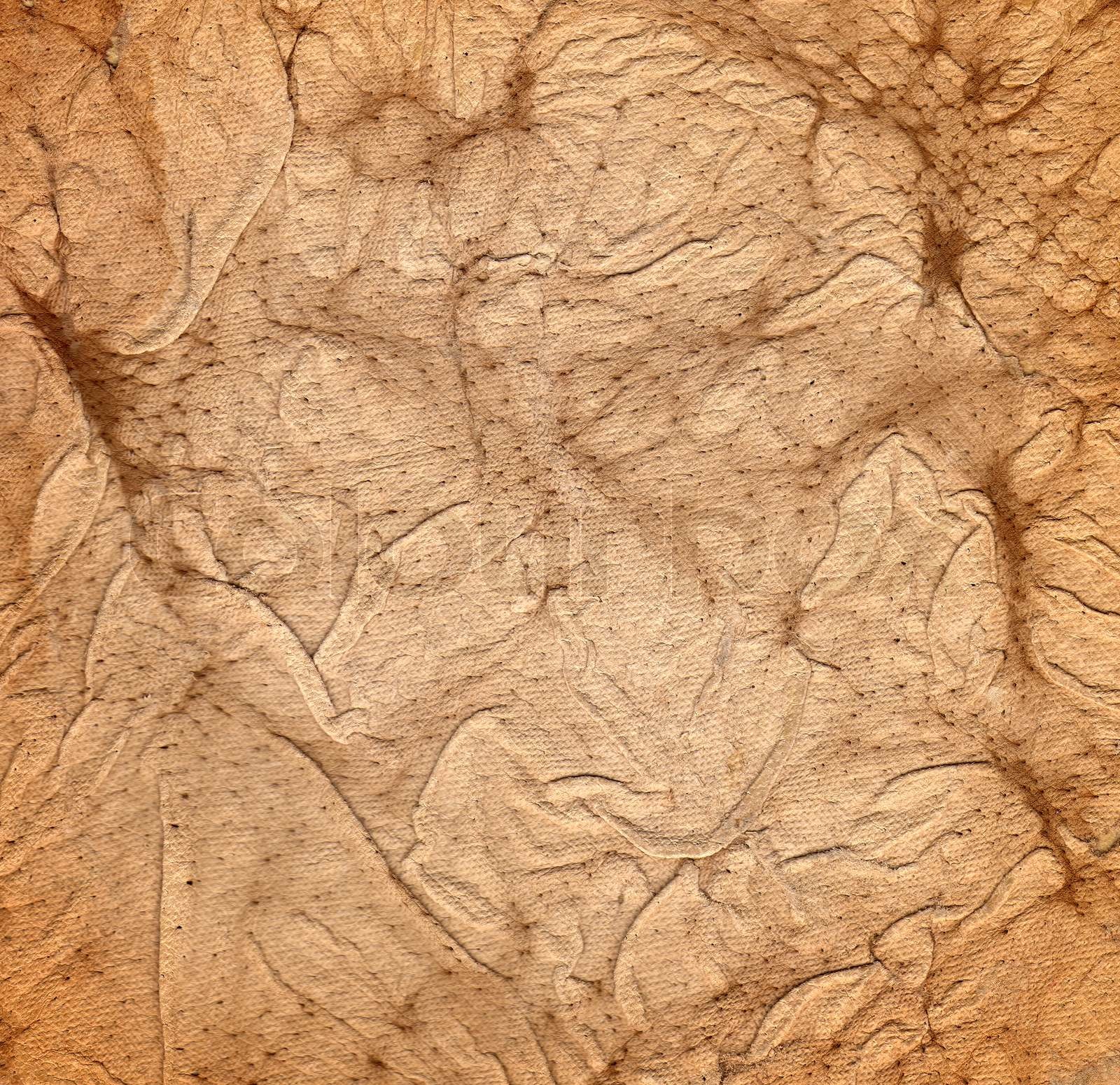 vintage stained bumpy grained leather background | Stock image | Colourbox