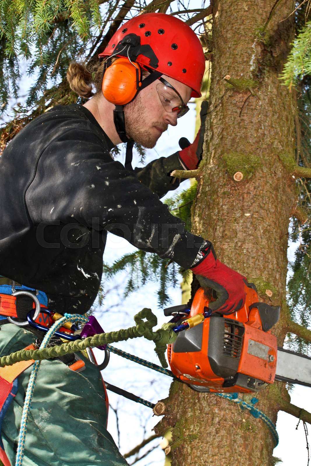 Woodcutter closeup in action in denmark | Stock image | Colourbox