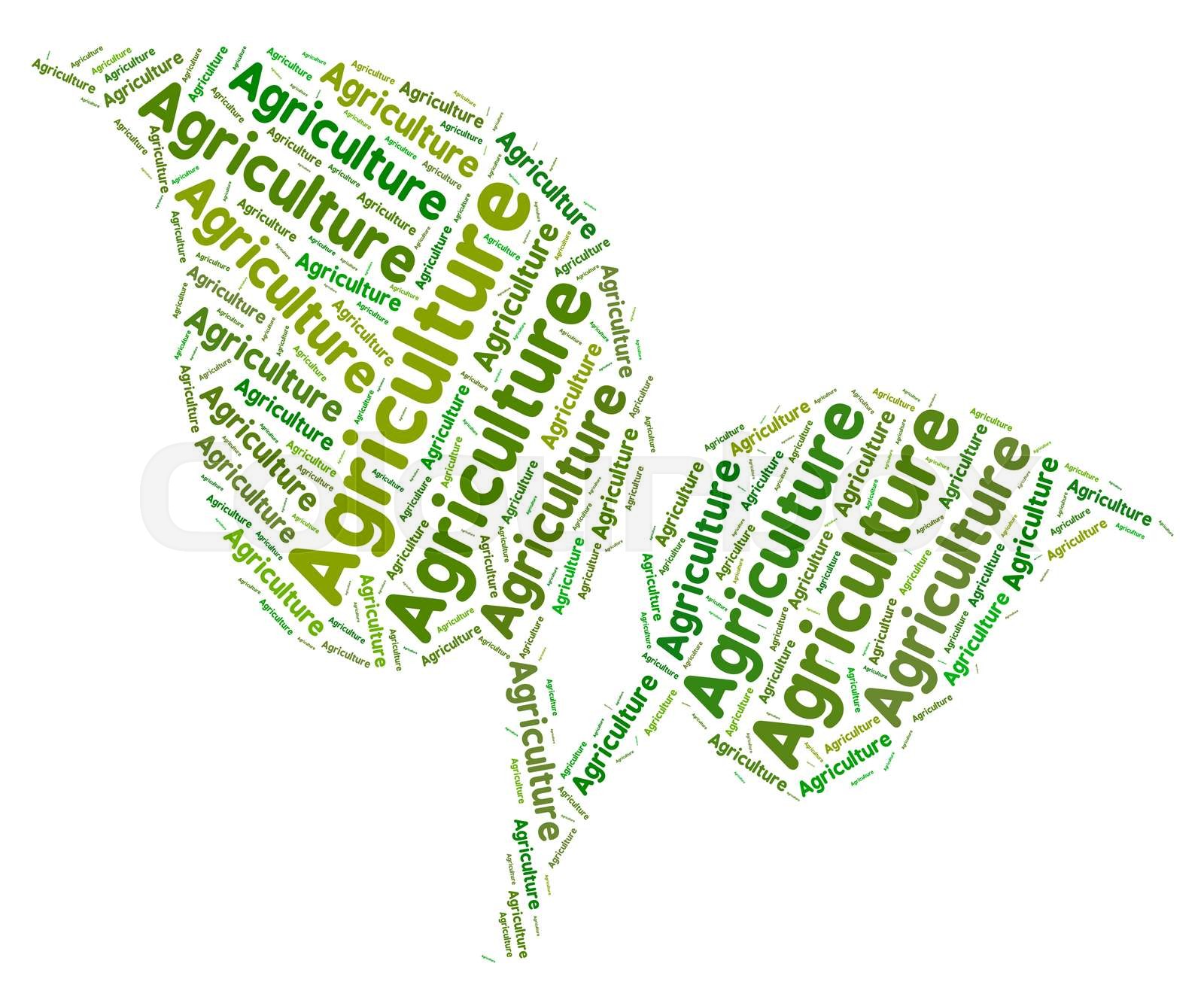 Agriculture Word Represents Cultivates Farming And Farm | Stock image ...