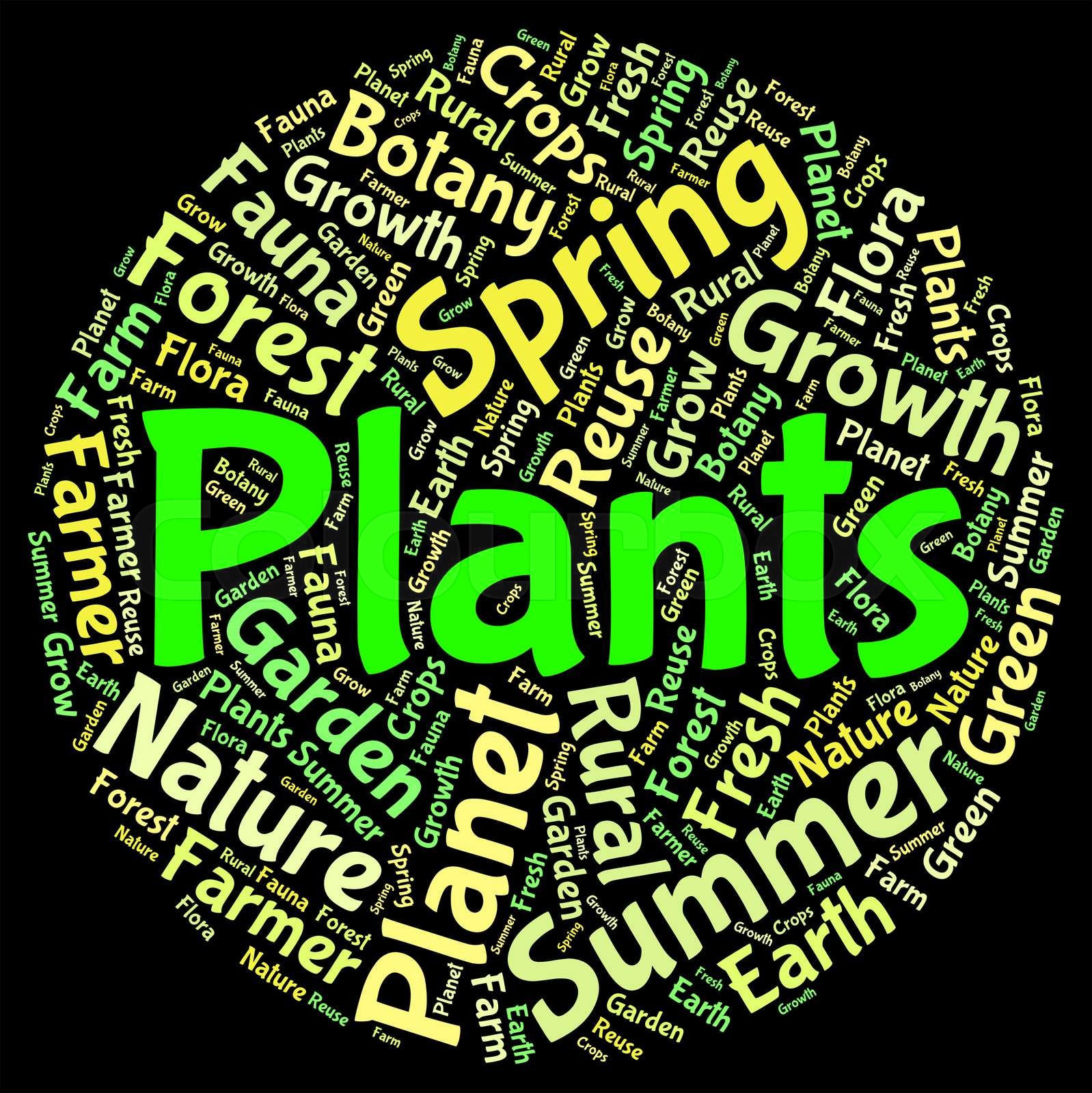 Plants Word Means Herbage Text And Botanical | Stock image | Colourbox