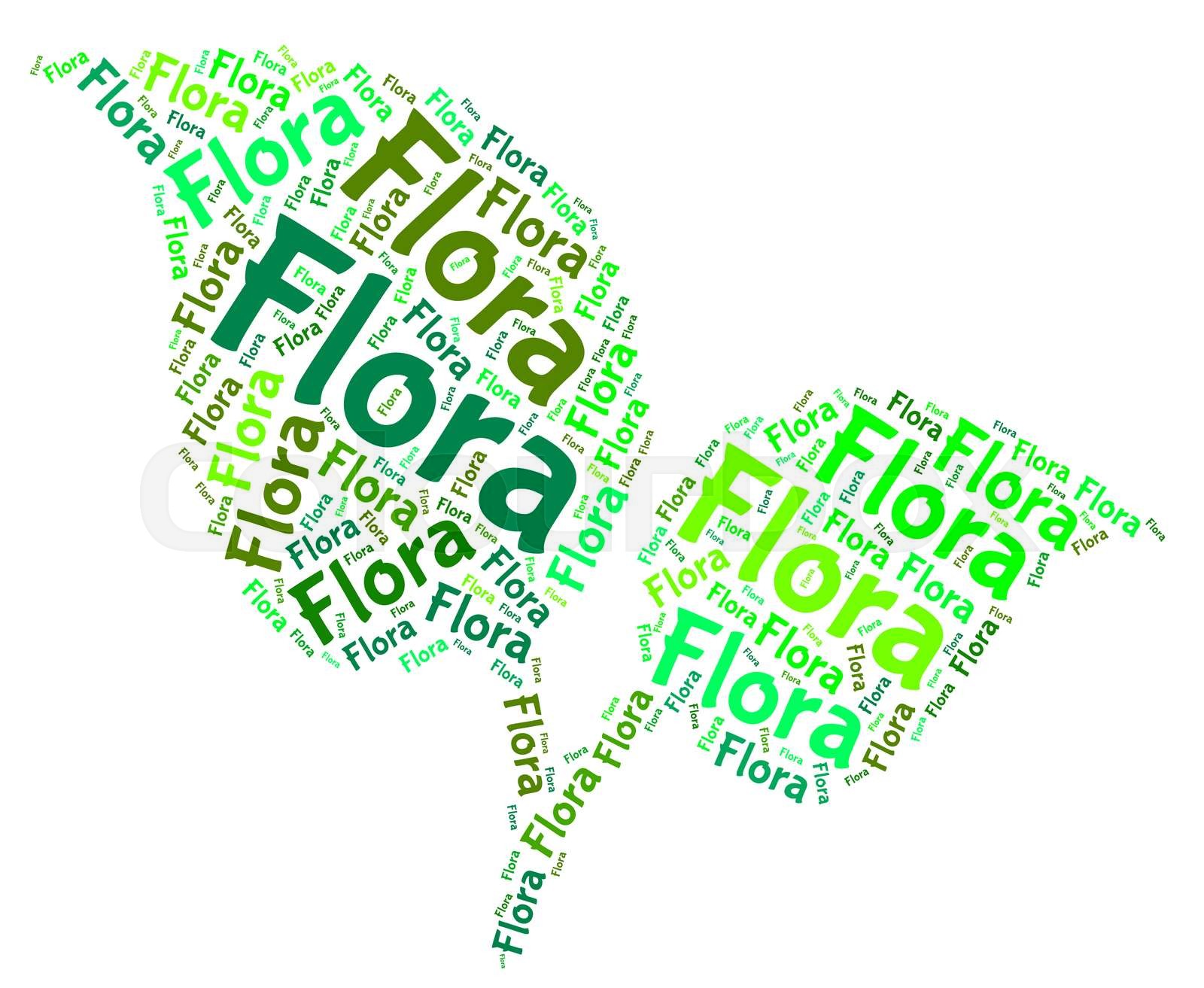 Flora Word Means Plant Life And Areas | Stock image | Colourbox