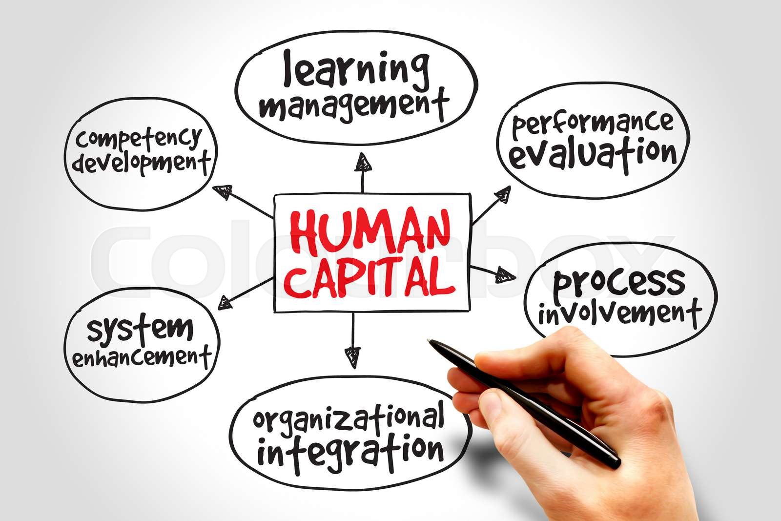 Human capital | Stock image | Colourbox