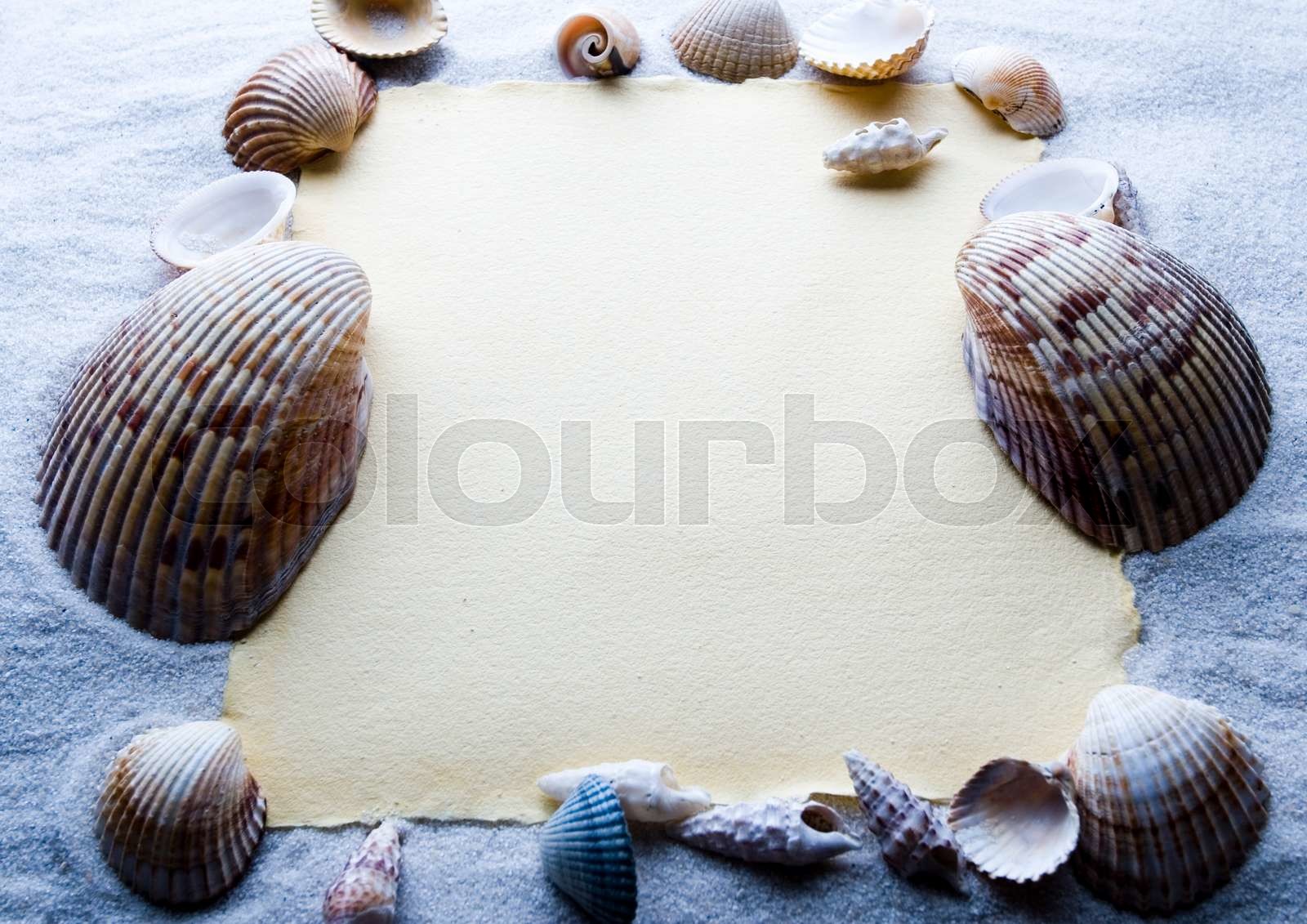 Nice sandy beach and Shell, blank frame | Stock image | Colourbox