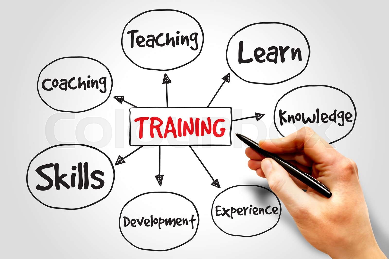 TRAINING mind map | Stock image | Colourbox