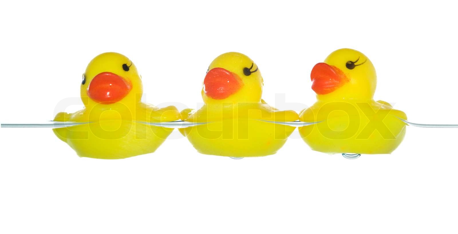 yellow rubber ducks floating on a water | Stock image | Colourbox