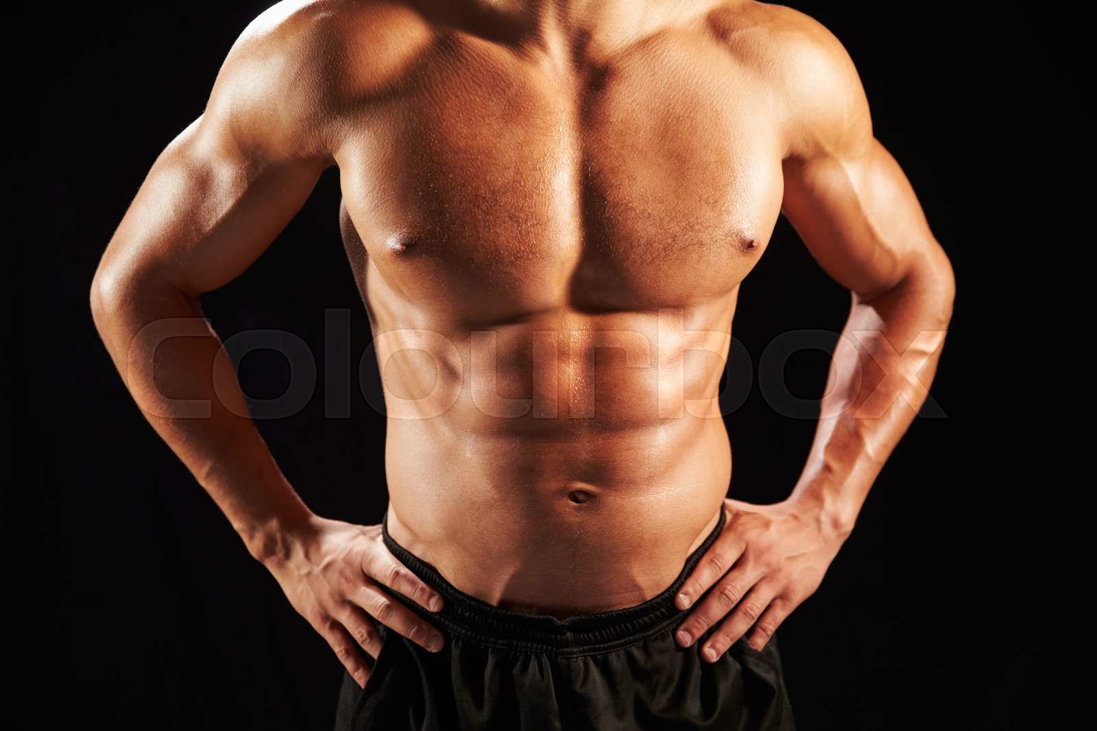 Male bodybuilder torso, front view, crop | Stock image | Colourbox