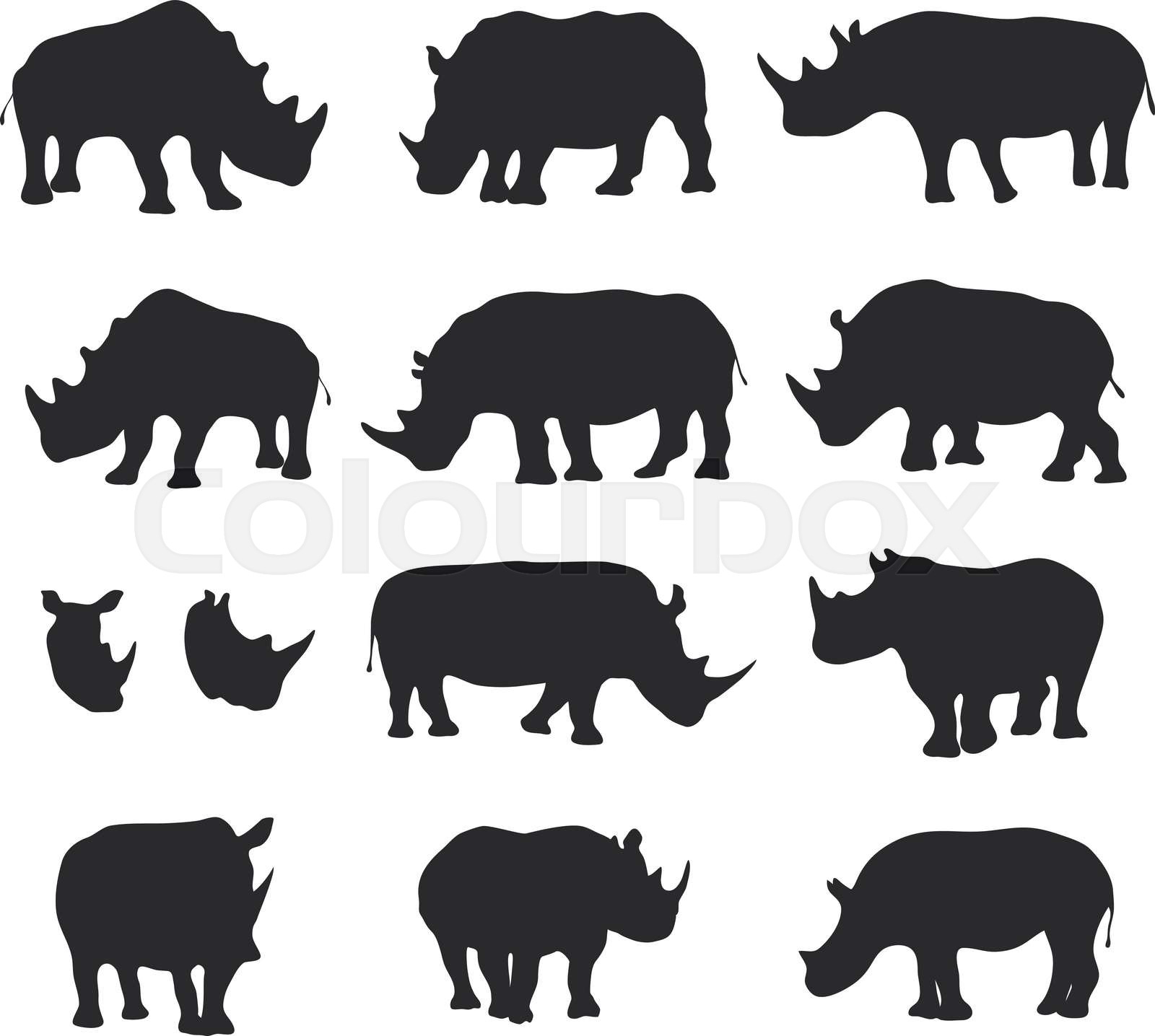 Vector black rhino silhouettes | Stock vector | Colourbox