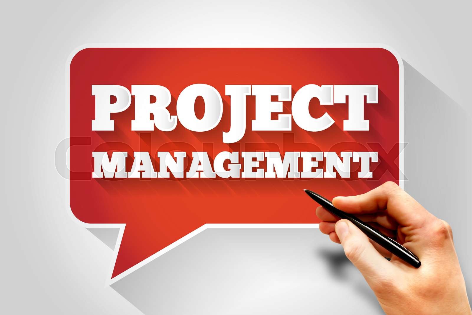 Project Management | Stock image | Colourbox