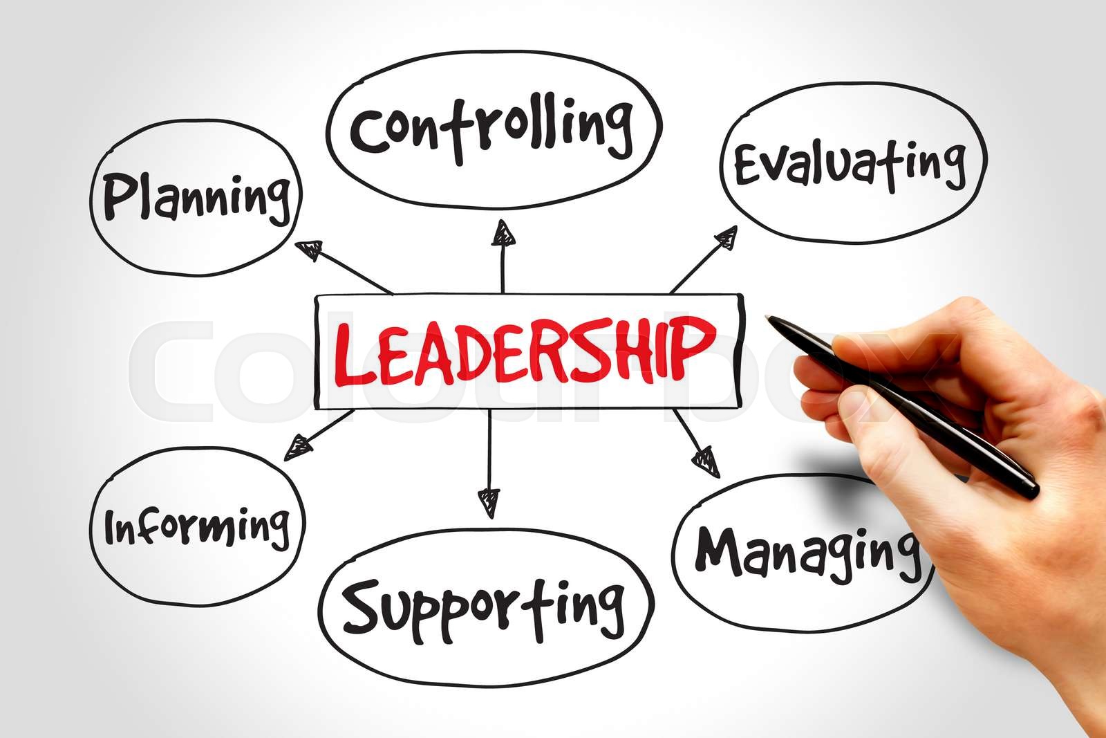 Leadership | Stock image | Colourbox