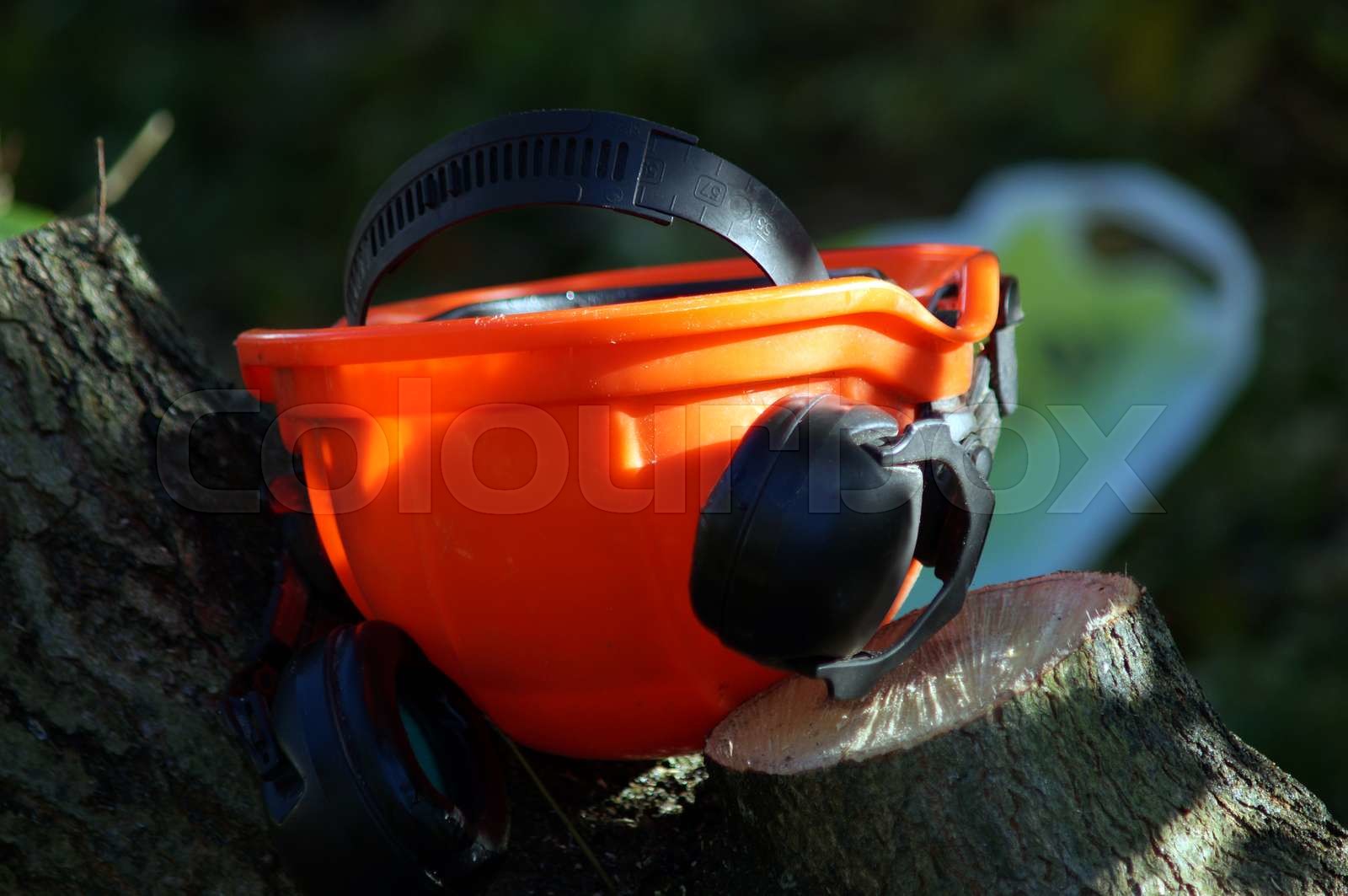 Safety helmet on tree stump | Stock image | Colourbox