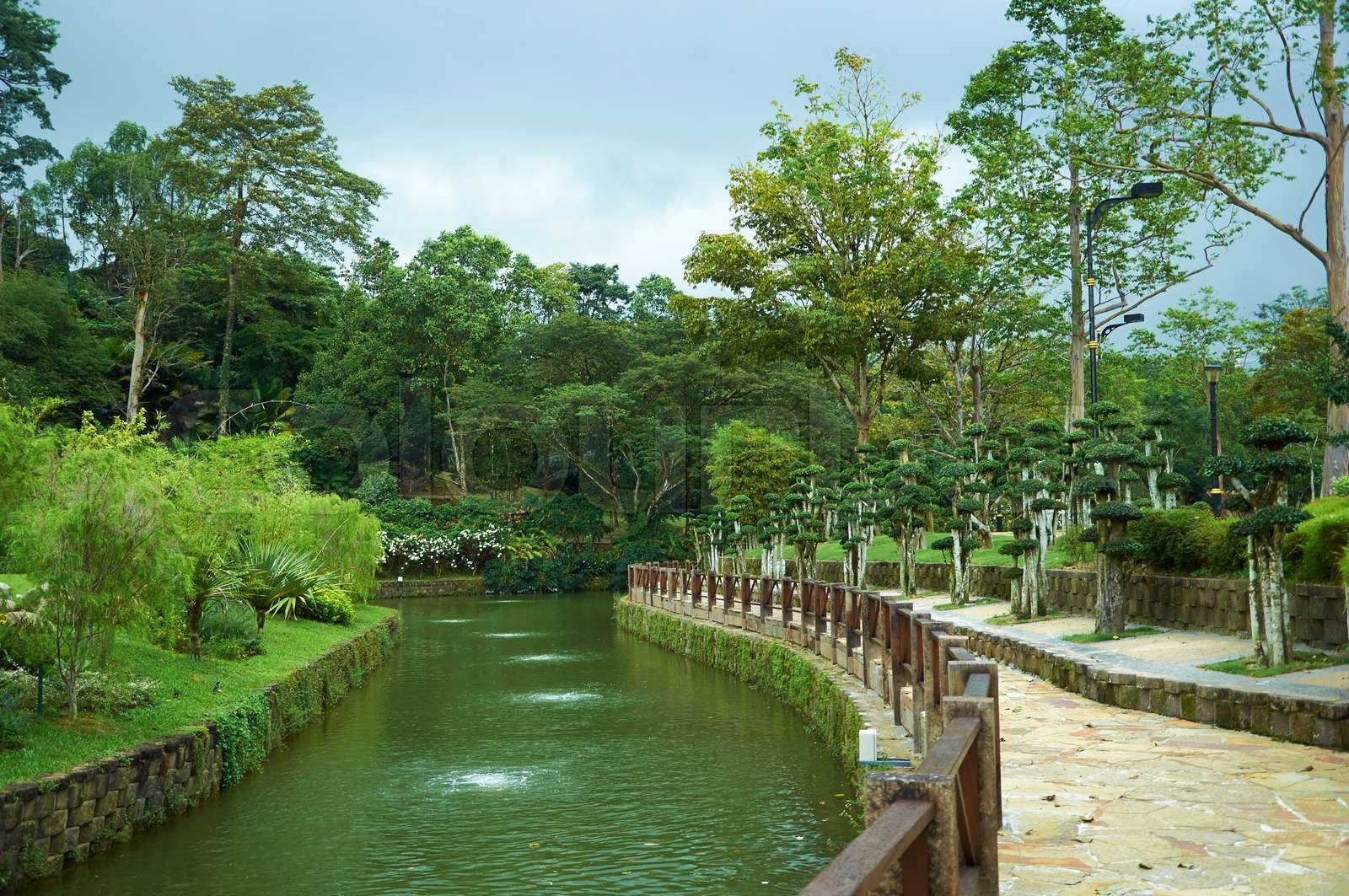 Park with river and decorative trees | Stock image | Colourbox