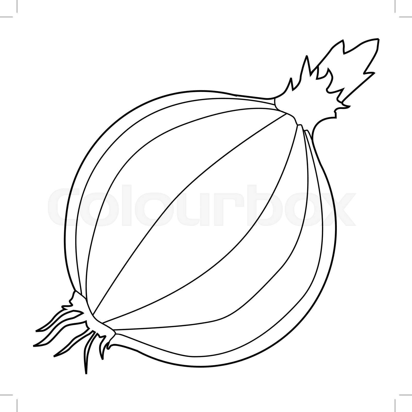 Onion Outline