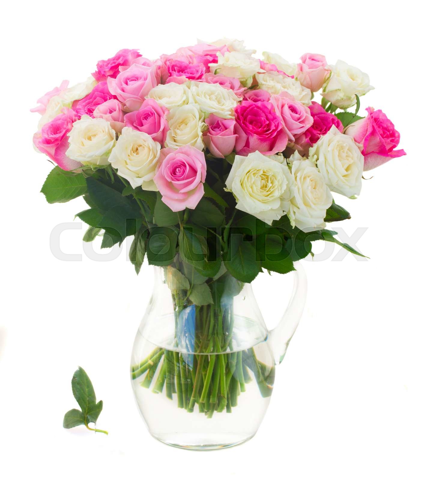 bouquet of fresh roses | Stock image | Colourbox