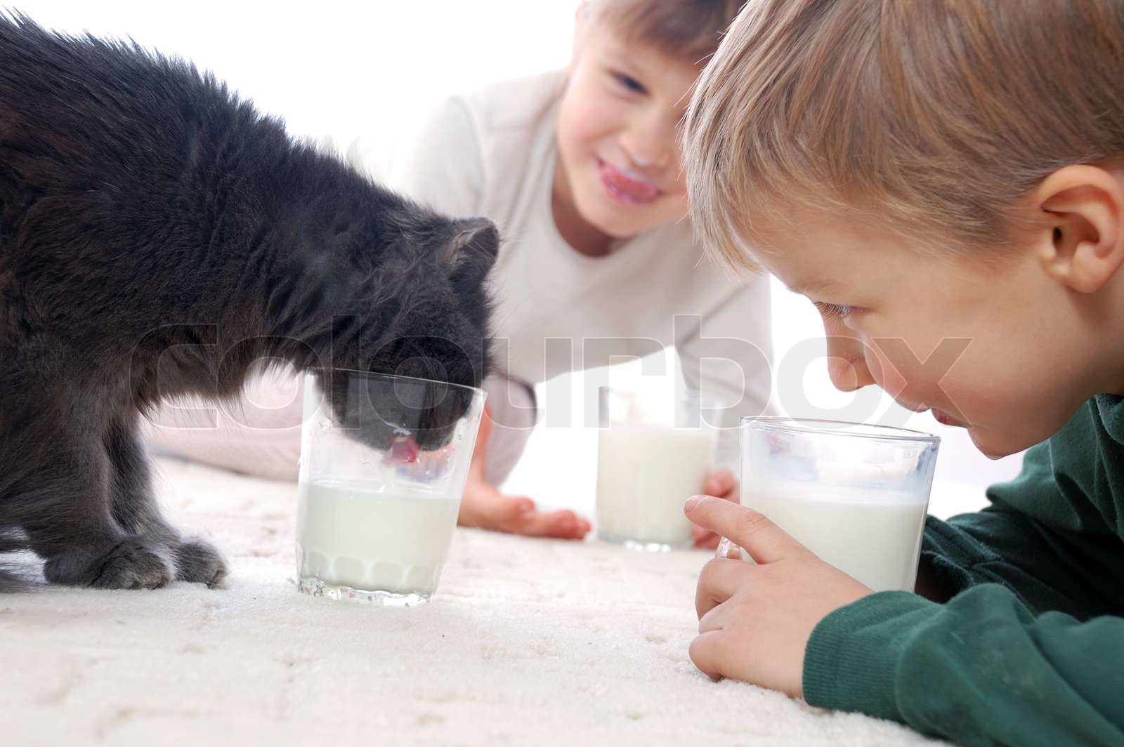 kat og børn drikker mælk | Stock foto | Colourbox
