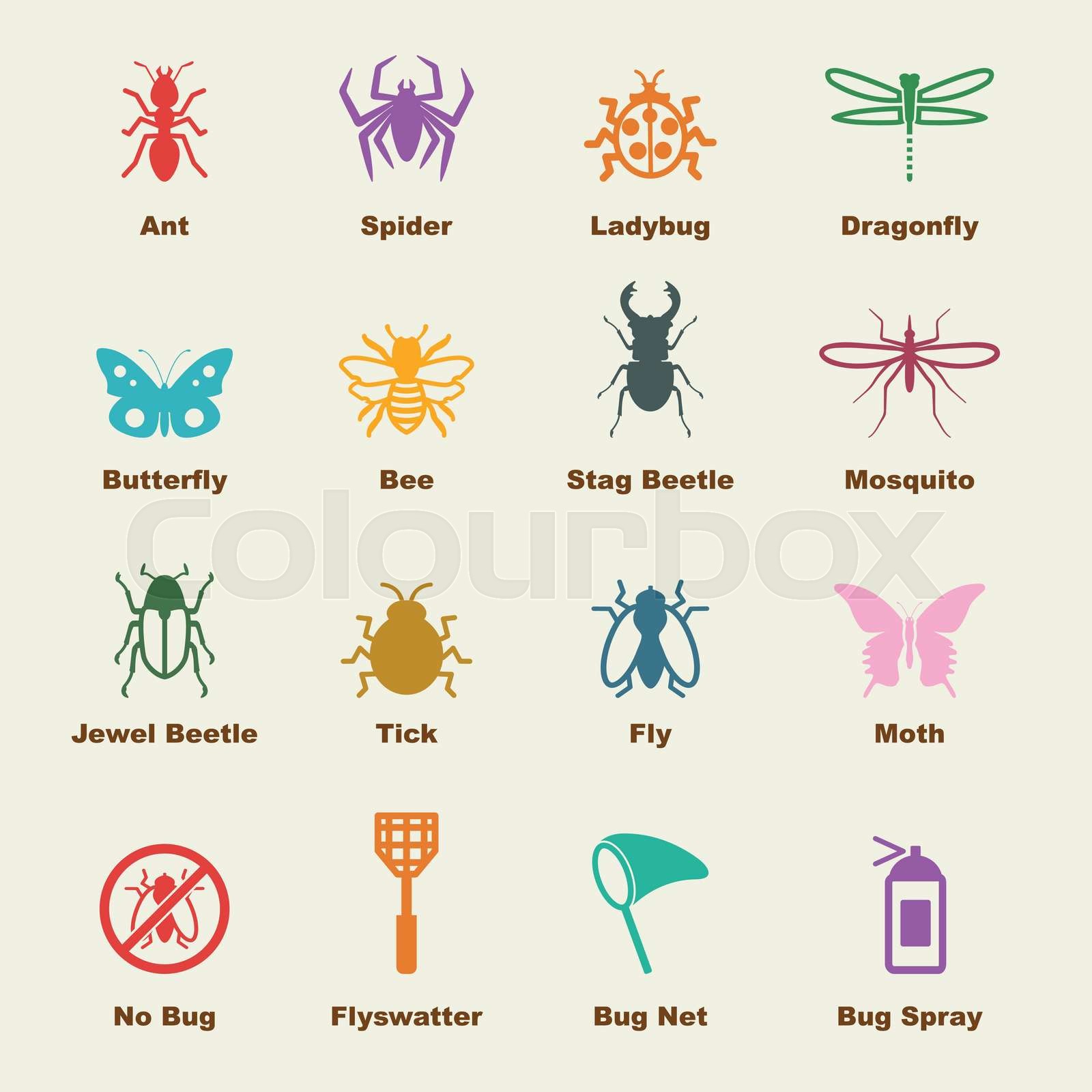 insect elements | Stock vector | Colourbox
