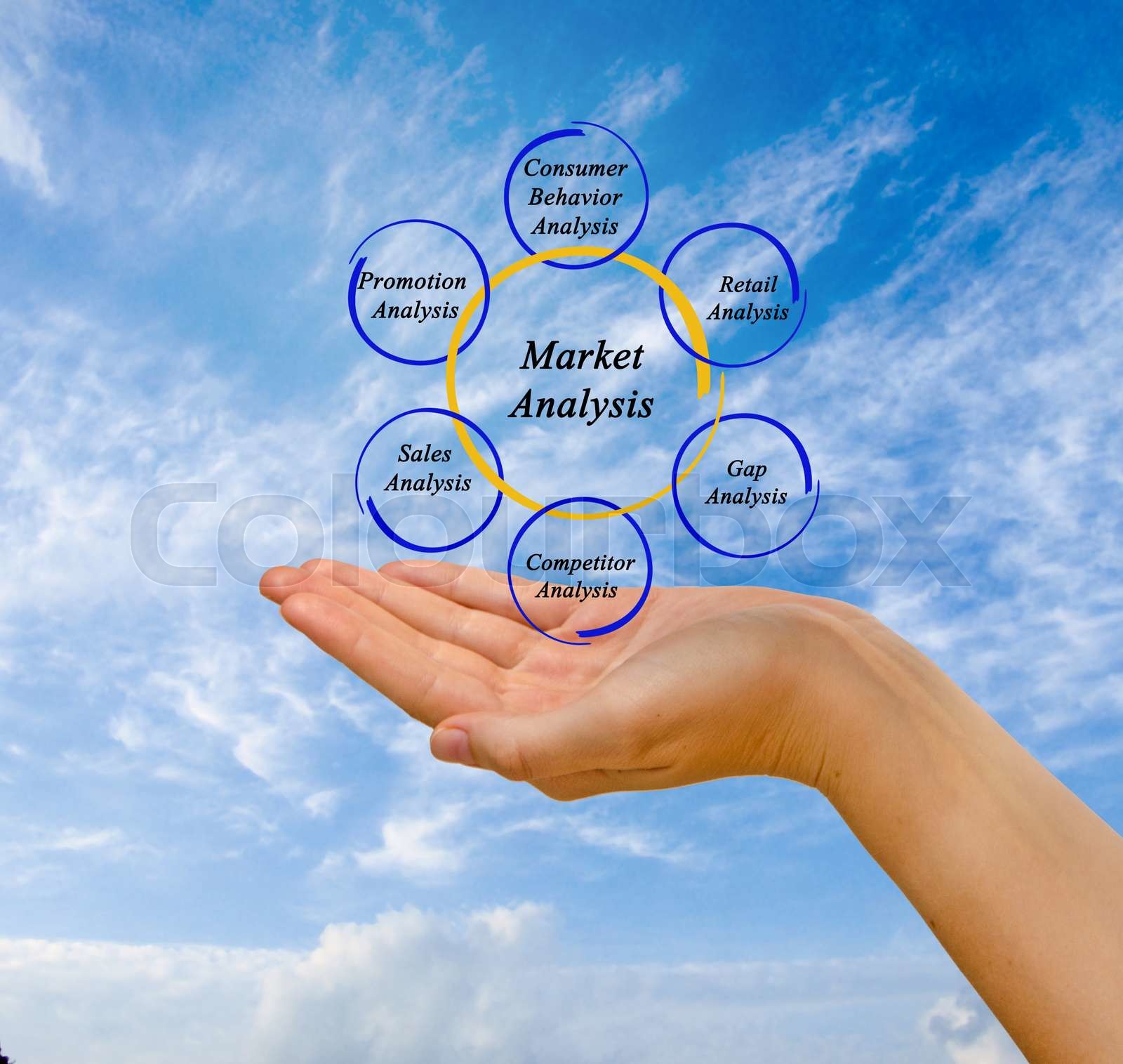 Market analysis | Stock image | Colourbox