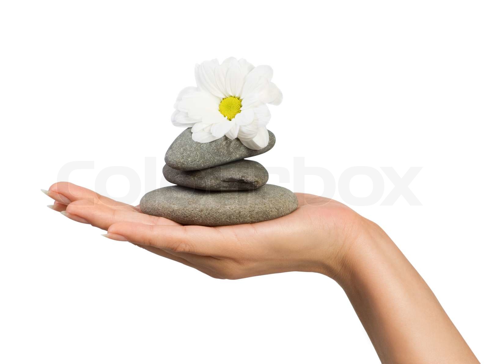 beautiful female hand with flower and stones isolated jn white | Stock ...
