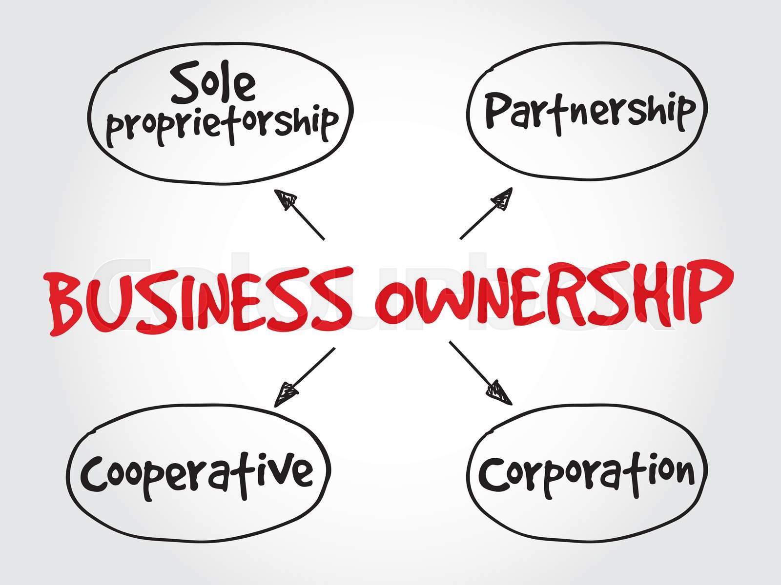 Business ownership | Stock vector | Colourbox