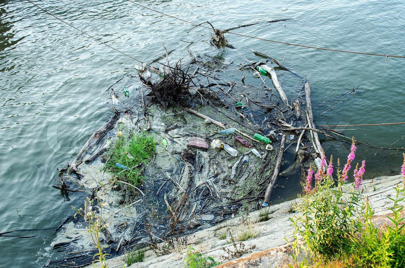 Water pollution | Stock image | Colourbox