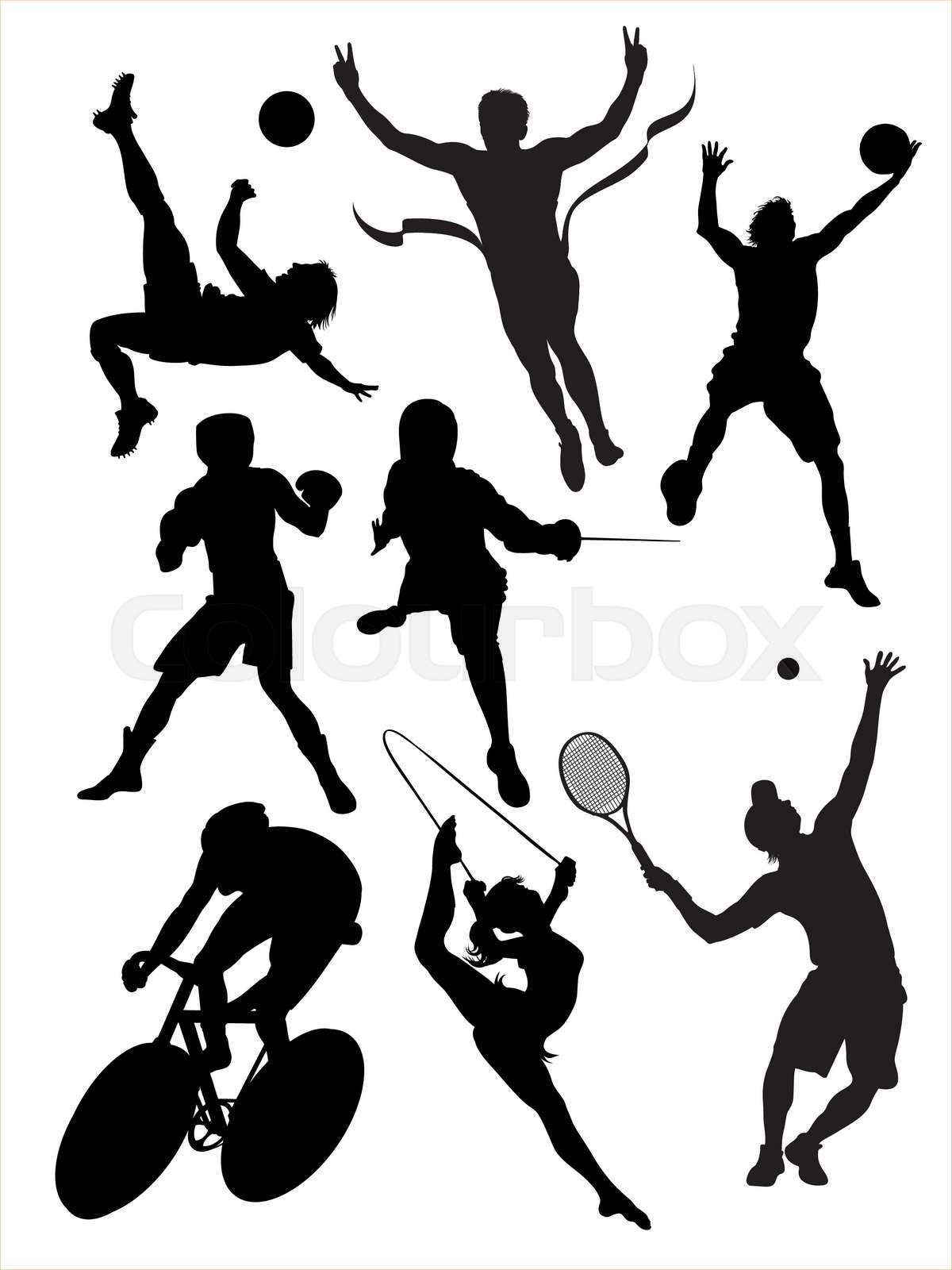 Action Packed Sports. Vector illustration | Stock vector | Colourbox