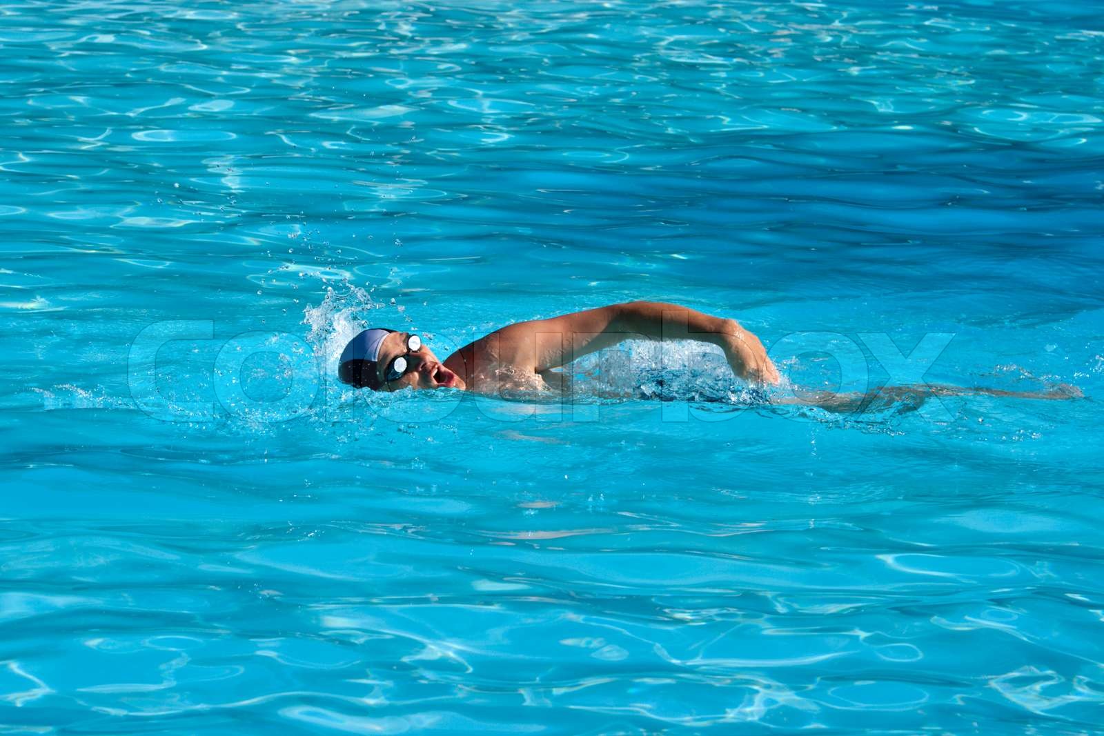 Athletic Man swimming in the pool | Stock image | Colourbox