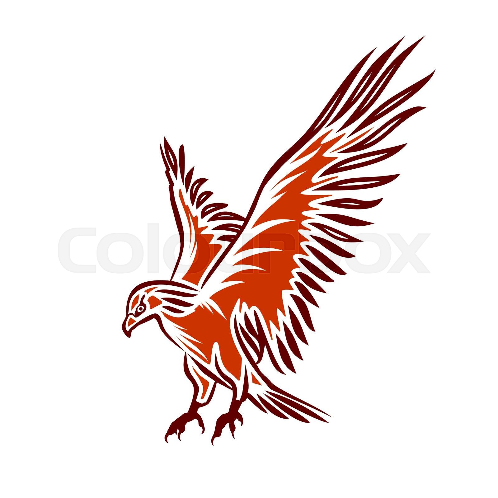 Flying Eagle Stock Vector Colourbox