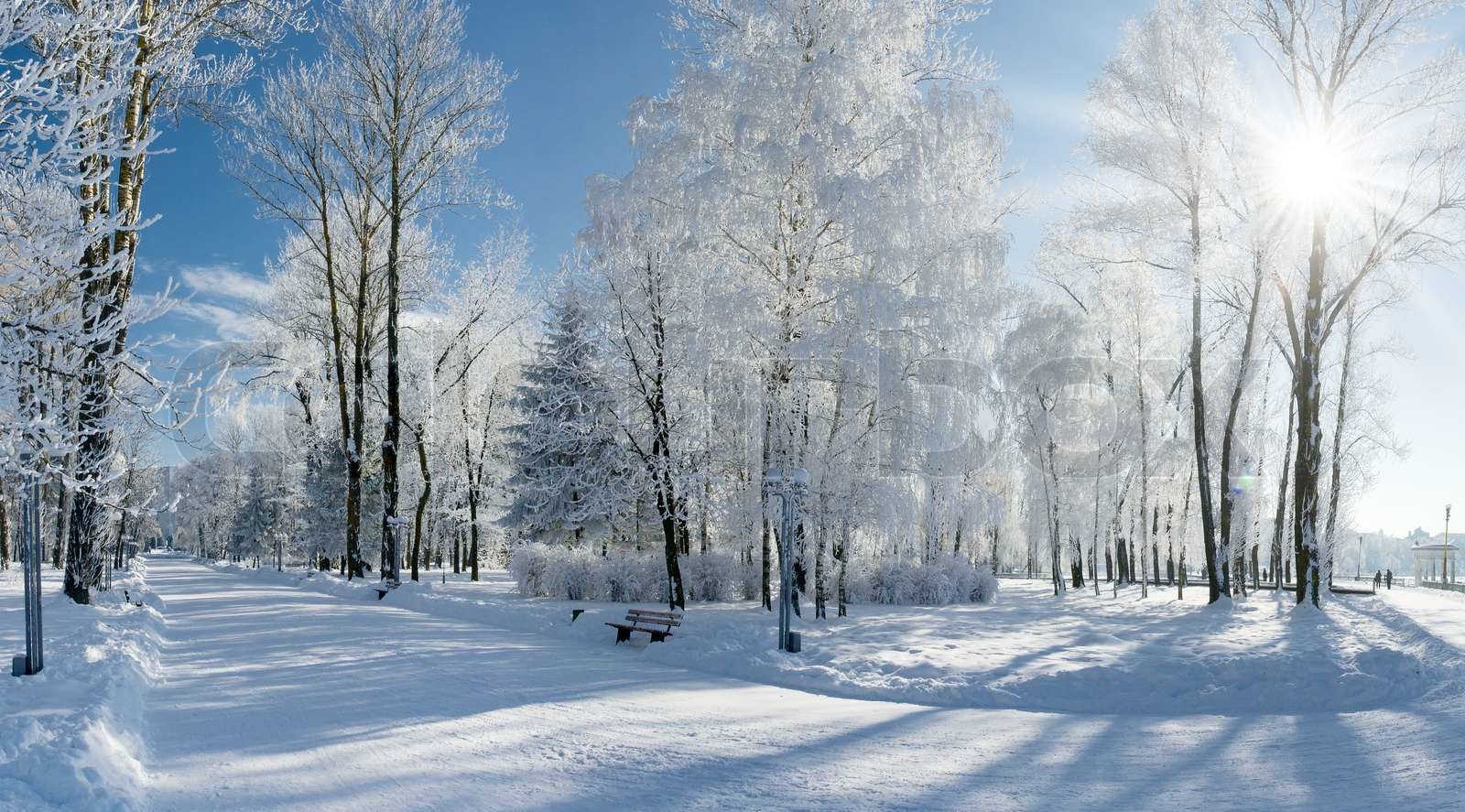 Beautiful winter landscape with snow covered trees | Stock image ...