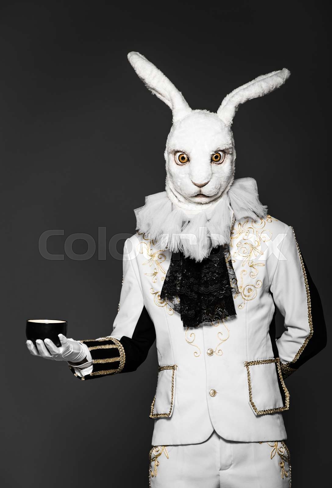 White Rabbit Batman Costume