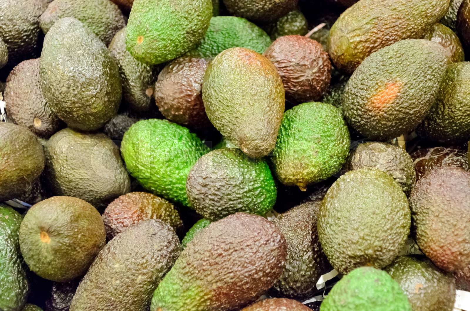 Group of avocado | Stock image | Colourbox